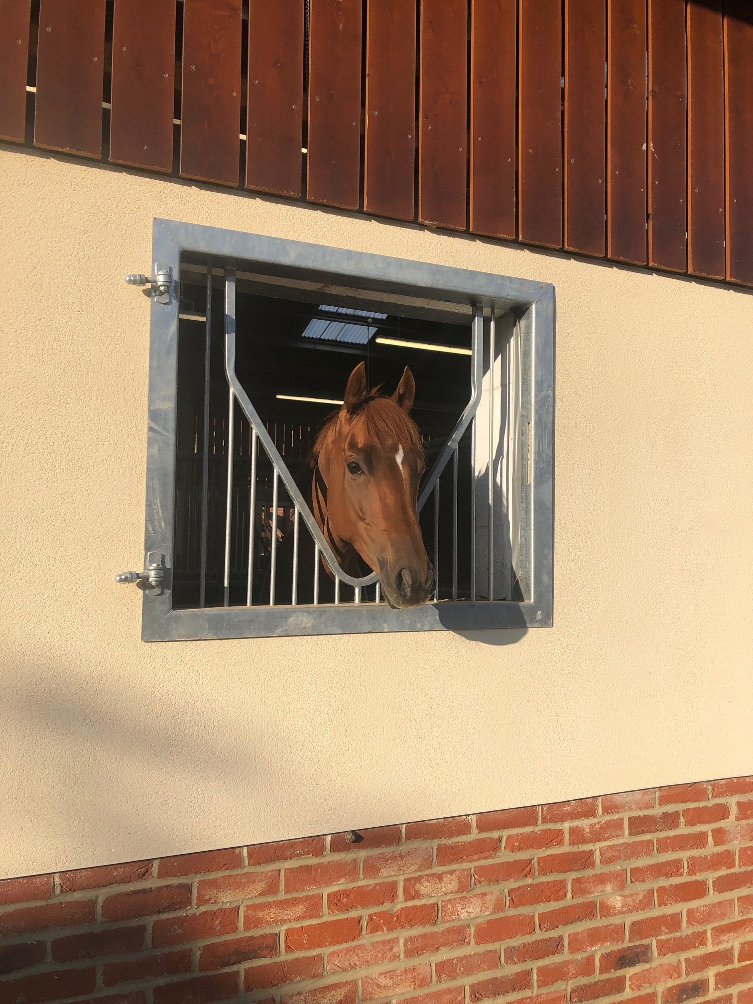 Thoughts on Barossa Red | Kubler Racing